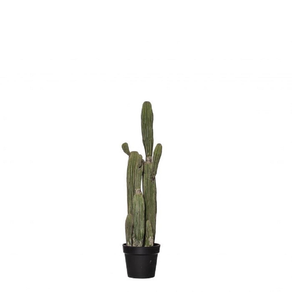 Rogue Saguaro Cactus Garden Pot 91cm Green | ZOES Kitchen & Living